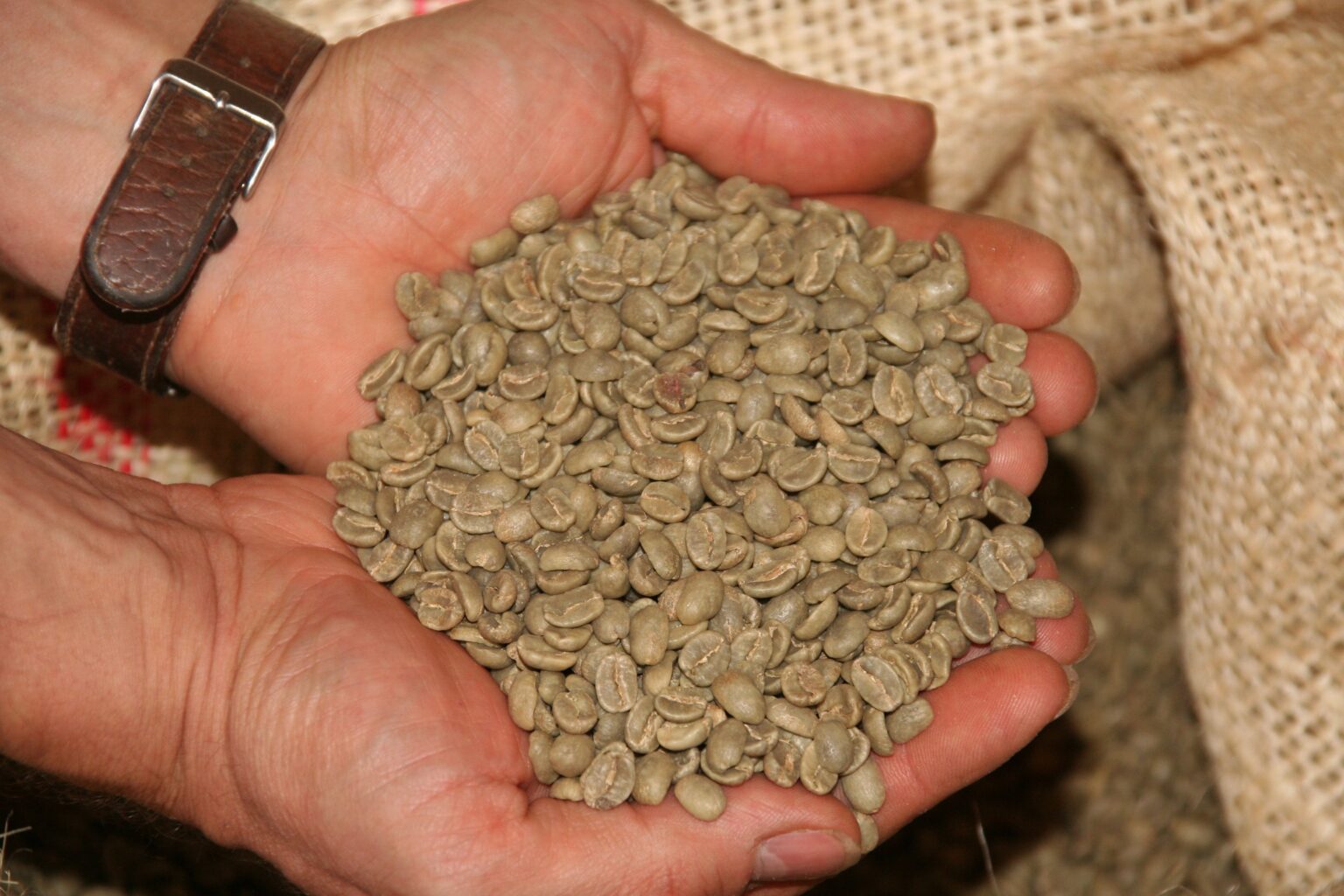 CAFÉ DE COLOMBIA TRILLADO TOSTADO EN GRANO Y MOLIDO – Ecorganicos de ...